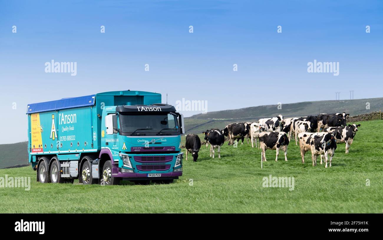 Livestock Transport Uk High Resolution Stock Photography and Images - Alamy