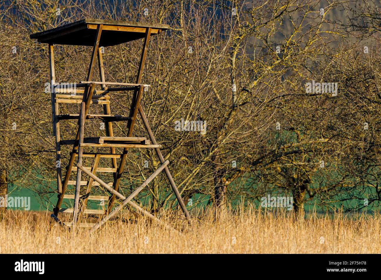 A hunter seat in the forest Stock Photo - Alamy