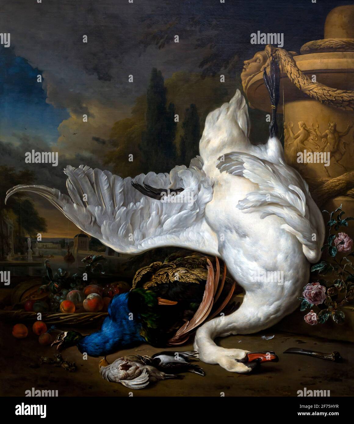 Dead swan hi-res stock photography and images - Alamy