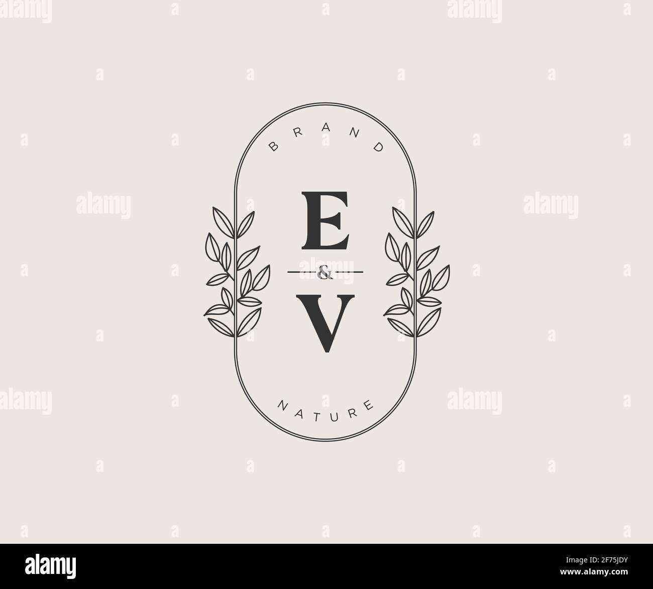 EV letters Beautiful floral feminine editable premade monoline logo ...