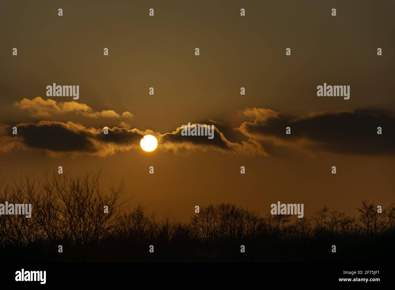 The sun above the horizon behind the clouds Stock Photo - Alamy
