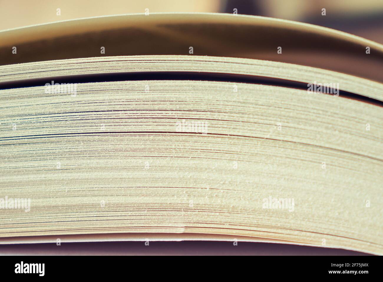 Book pages. Close-up of slightly open book pages. Blurred background ...