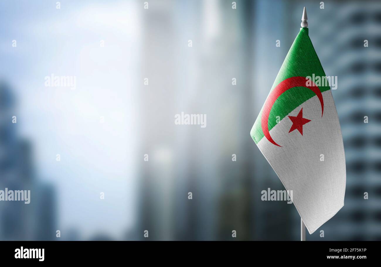A small flag of Algeria on the background of a blurred background Stock ...