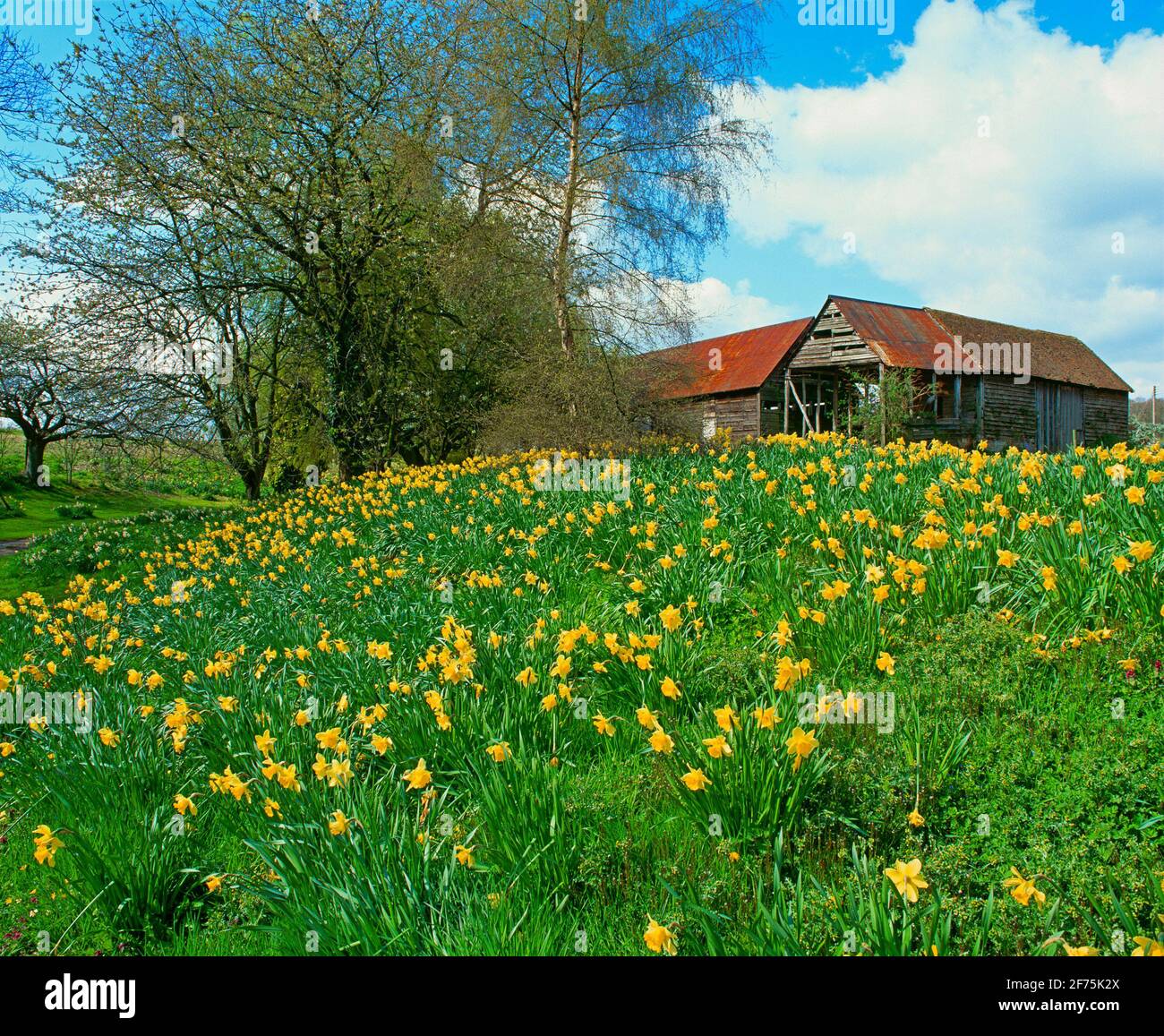 Rundown farm buildings hi-res stock photography and images - Alamy