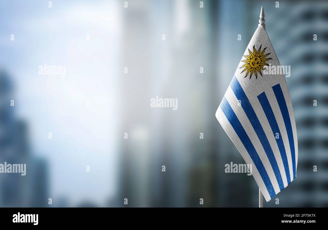 A small flag of Uruguay on the background of a blurred background Stock ...