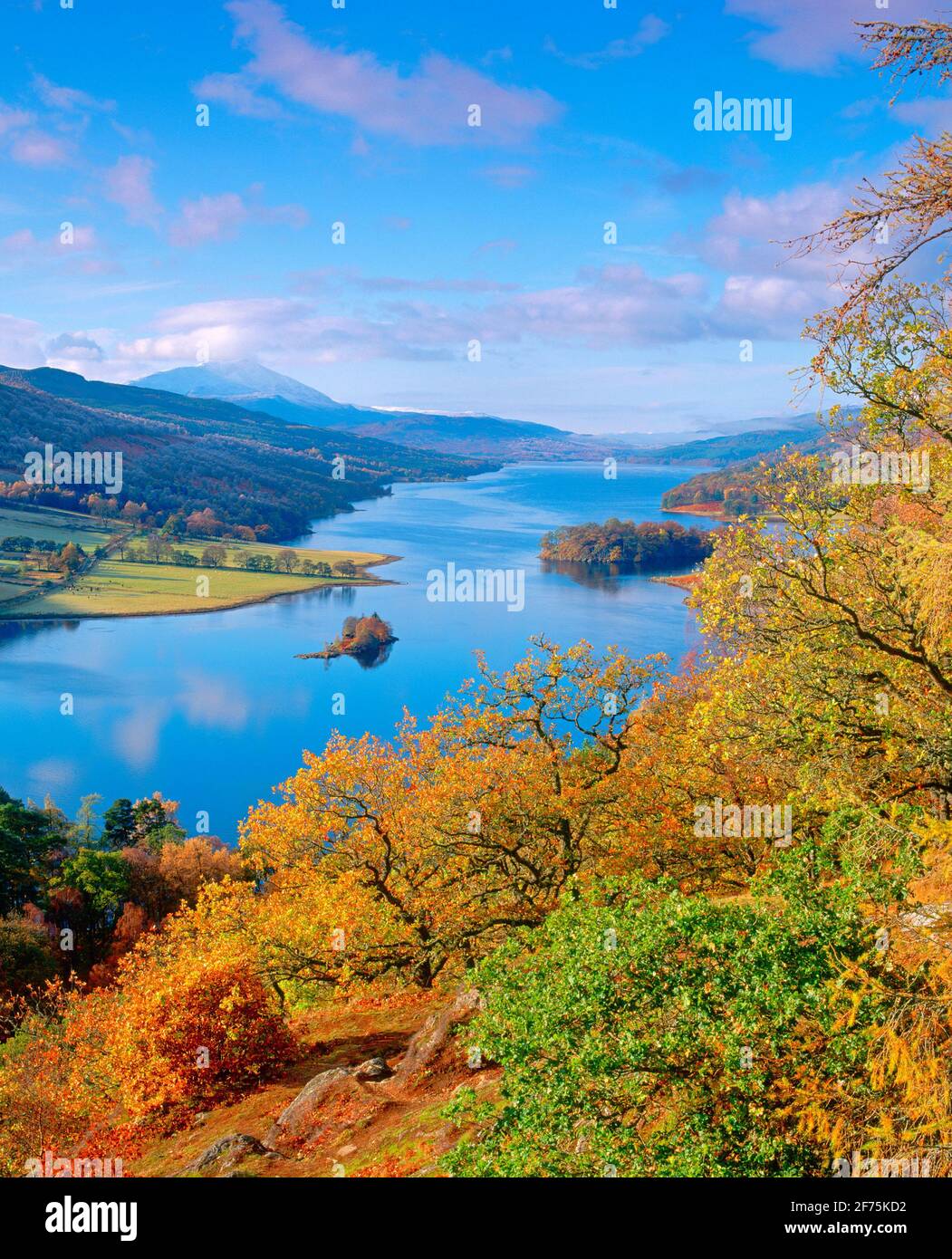 Aerial view of oak trees uk hi-res stock photography and images - Alamy