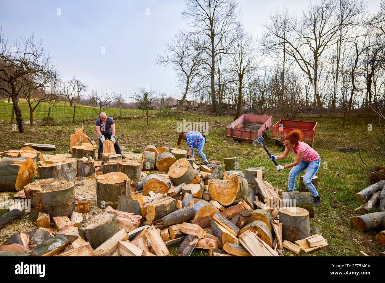 Female Cutting Firewood High Resolution Stock Photography and Images ...