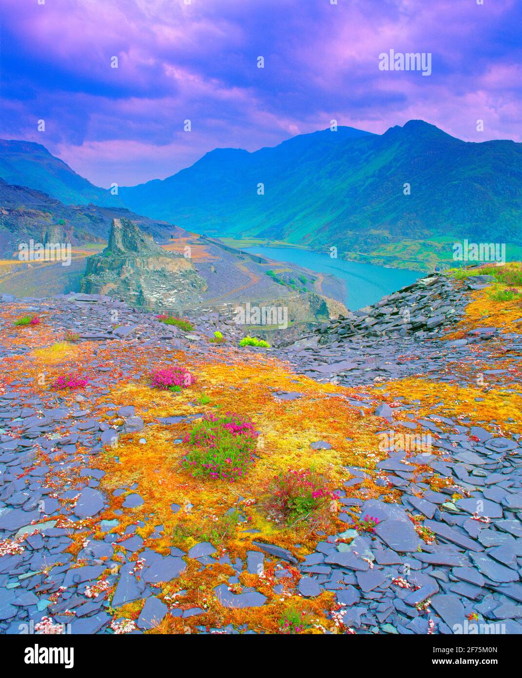 UK, Wales, Gwyned, view over Llyn Peris from Llanberis Country Park ...