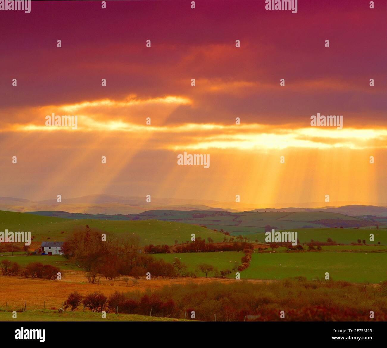 Rustic exposed beams hi-res stock photography and images - Alamy