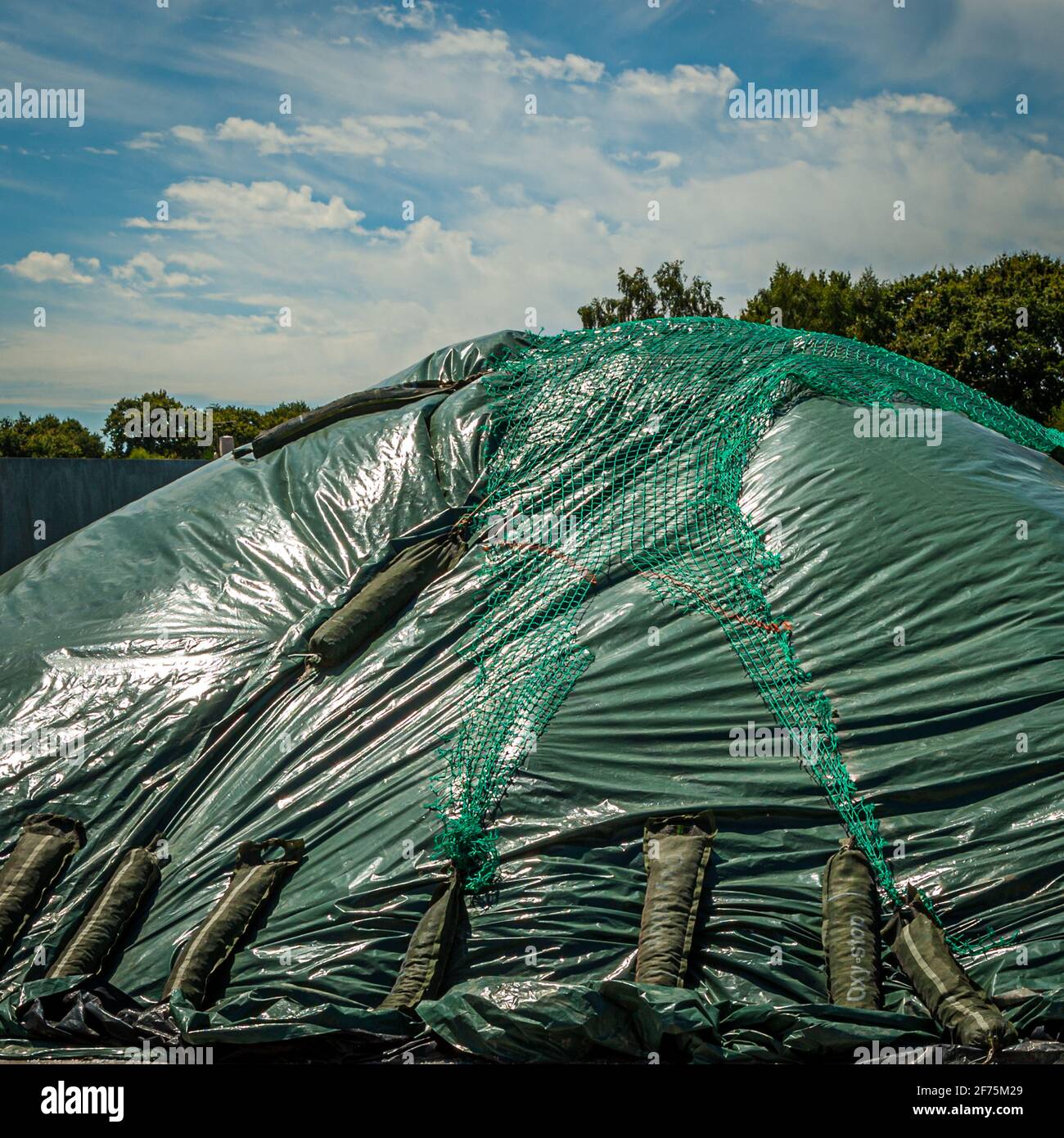 More than three meters high, tons of raw Guérande salt pile up in front ...