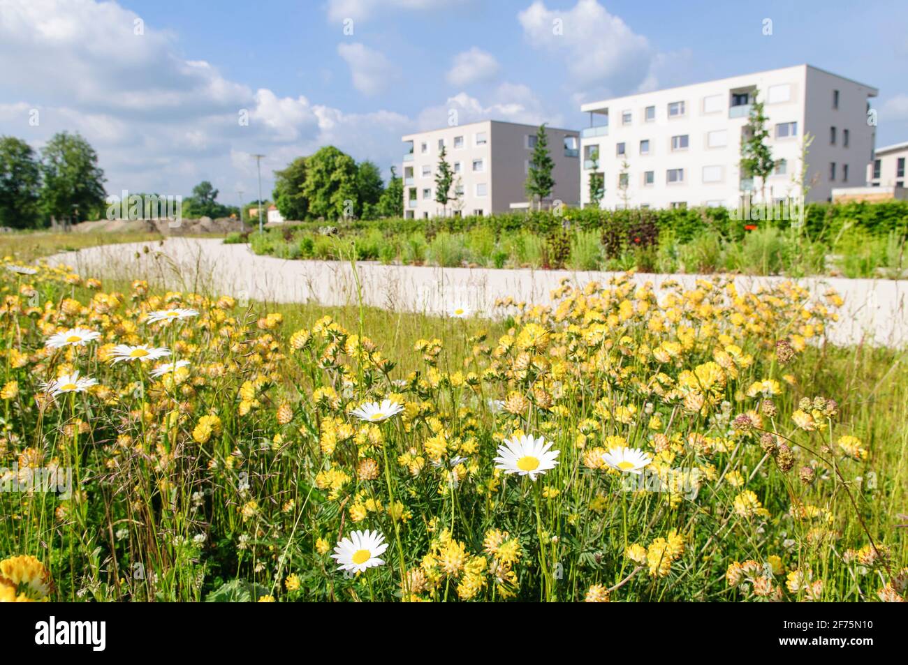 Beautiful springtime nature in urban park Stock Photo - Alamy