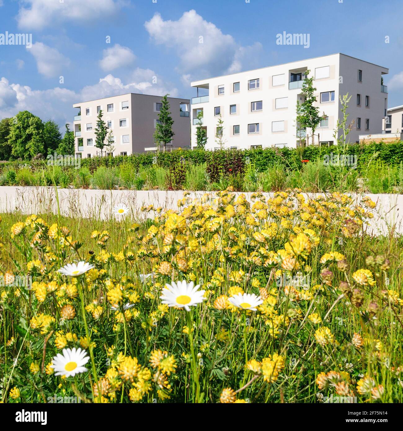 Beautiful springtime nature in urban park Stock Photo - Alamy