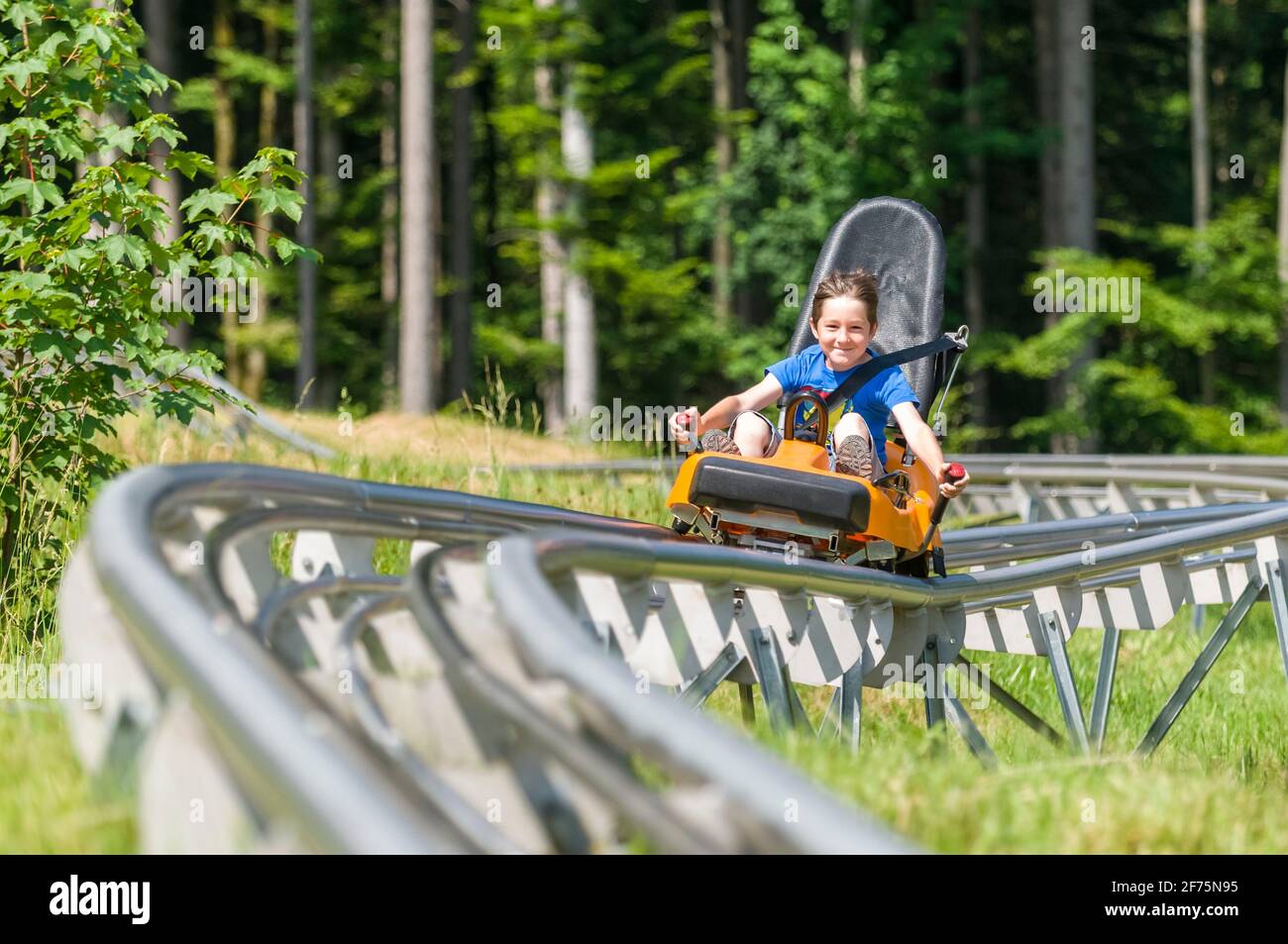 Boy on summer toboggan run Stock Photo - Alamy
