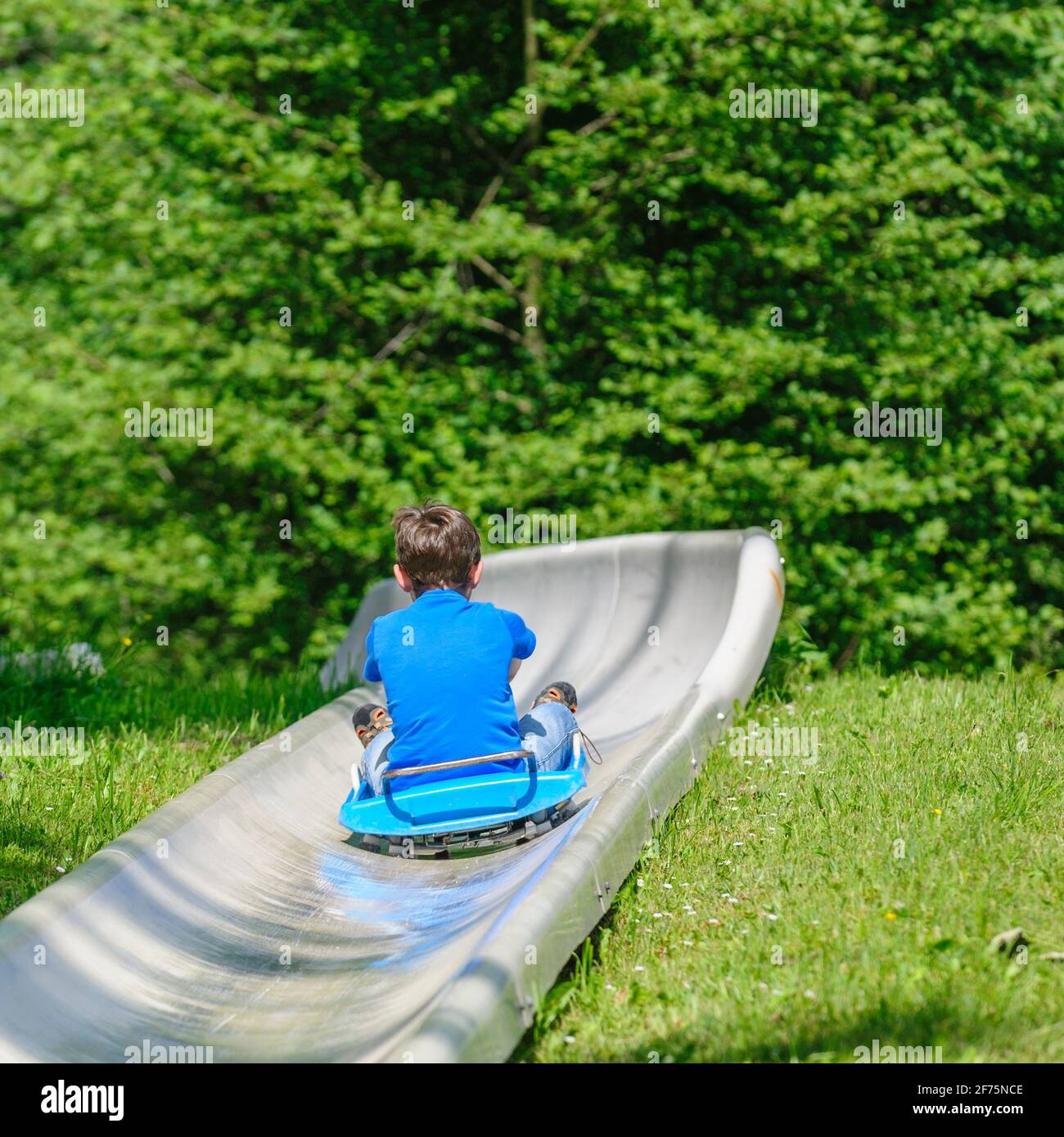 Family fun tobogganing in summer, up with the lift ... down with the ...