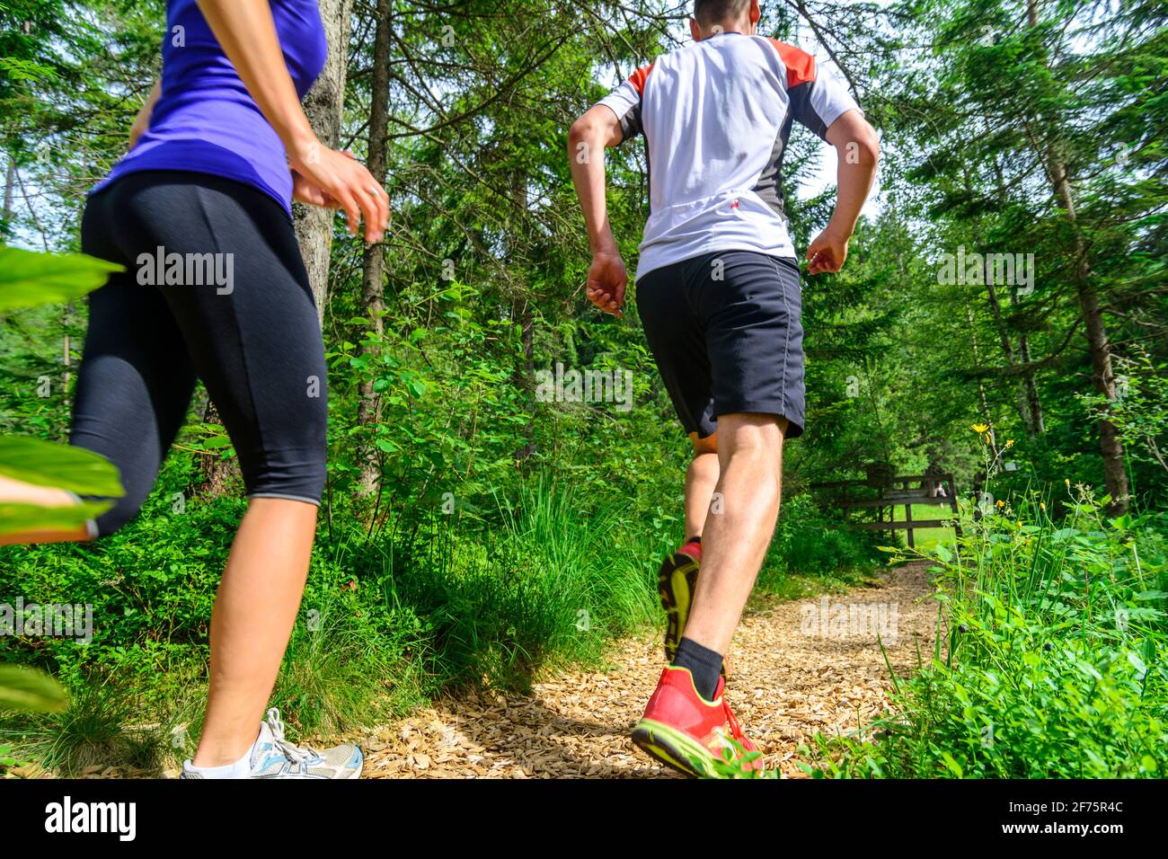 Young people jogging on a forest path, joint-friendly running training ...