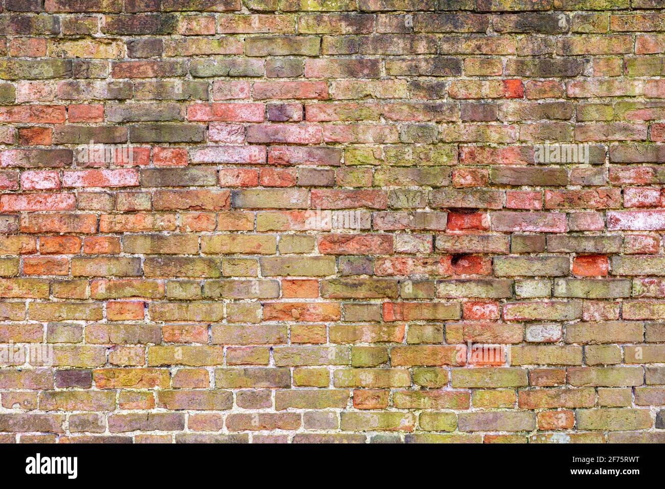 Lime mortar wall hi-res stock photography and images - Alamy