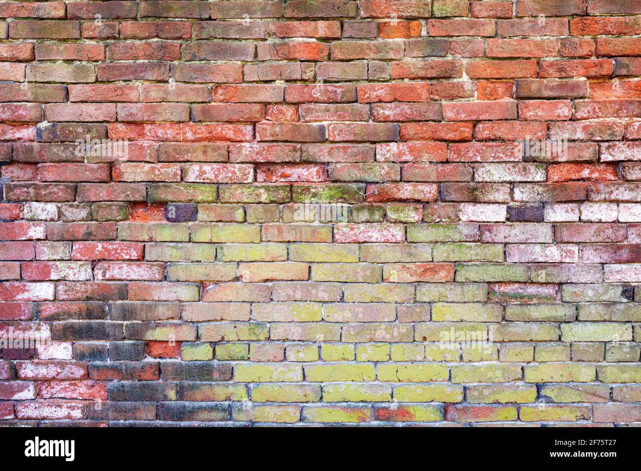 Lime mortar wall hi-res stock photography and images - Alamy