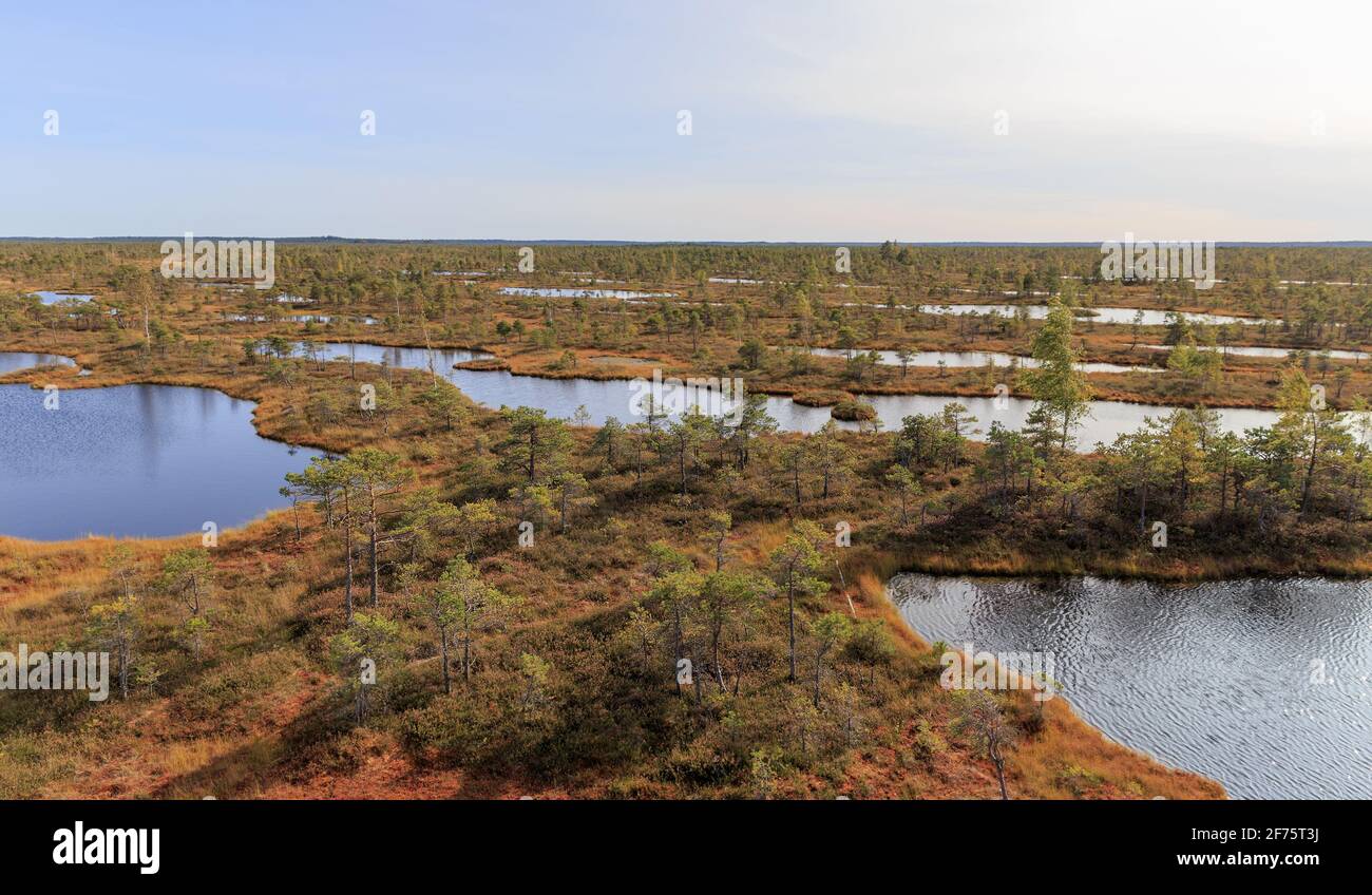 Swamp Bog Wetland Boardwalk High Resolution Stock Photography and ...