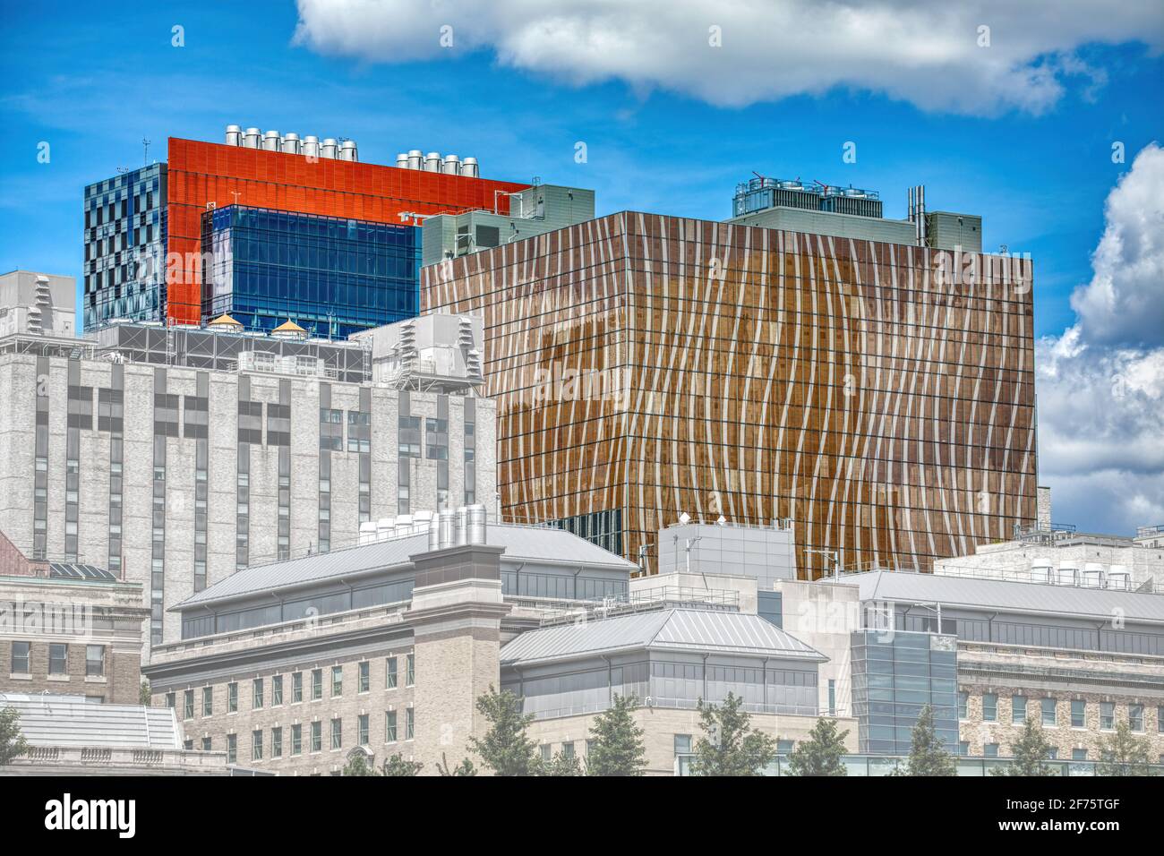 Zuckerman hi-res stock photography and images - Alamy