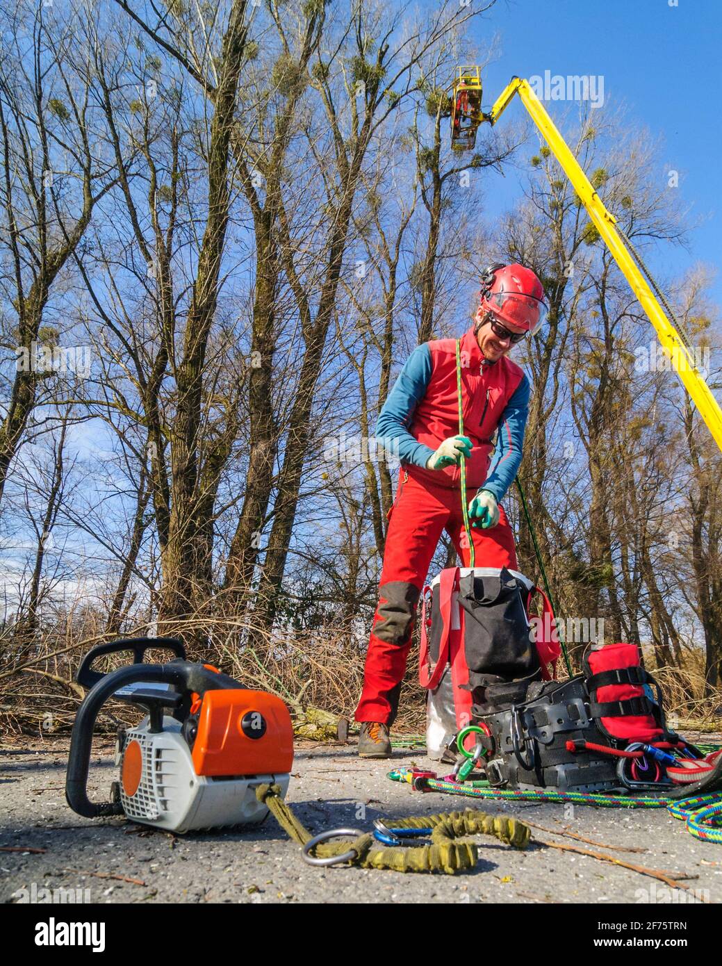 Treeworker doing their job with a skylift Stock Photo - Alamy