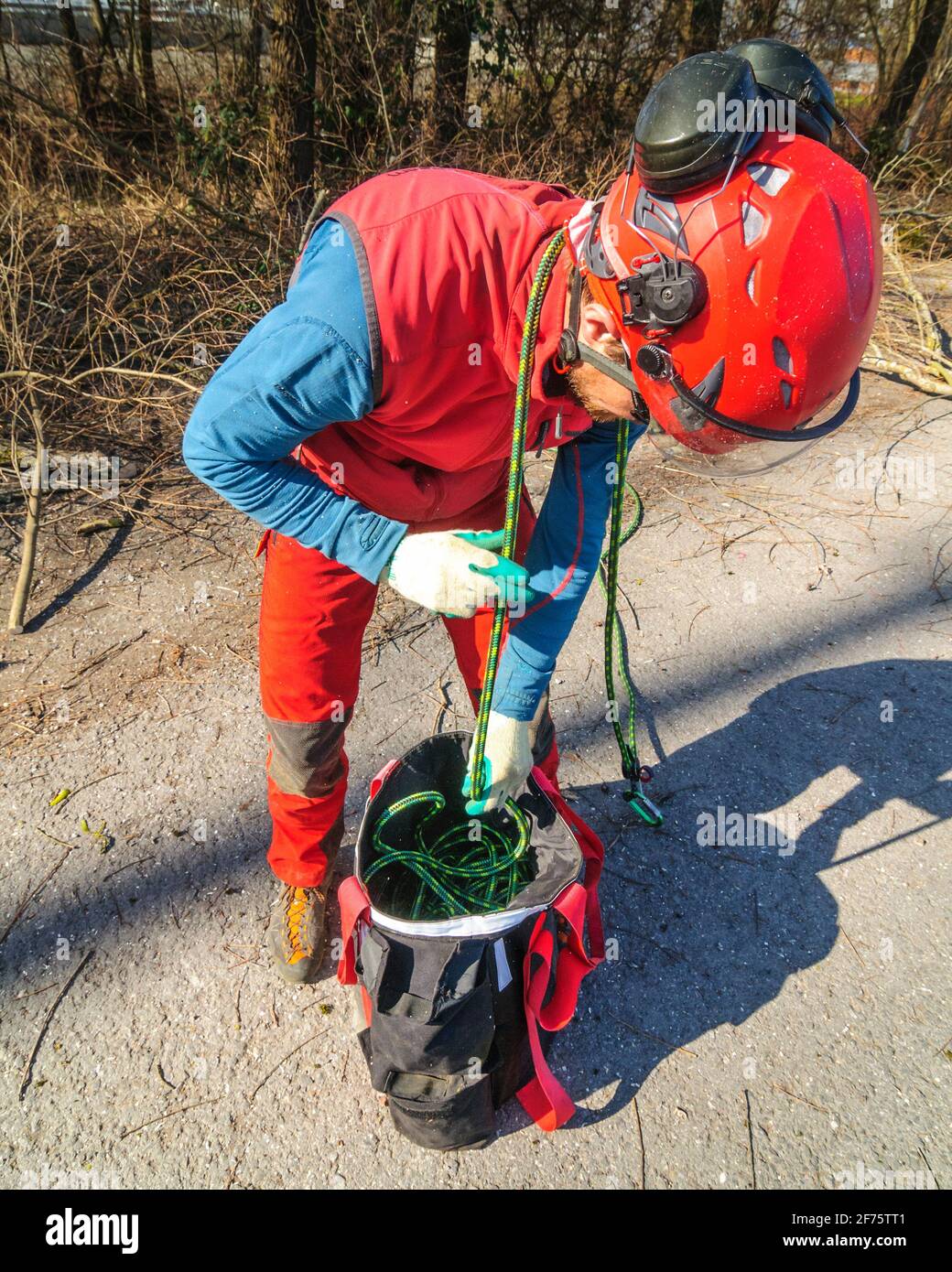 Treeworker doing his arduous and demanding job Stock Photo - Alamy