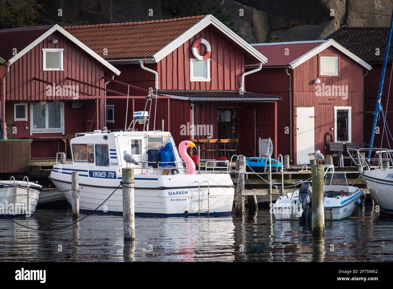 The flamingo and the boathouses of Bovallstrand Stock Photo - Alamy