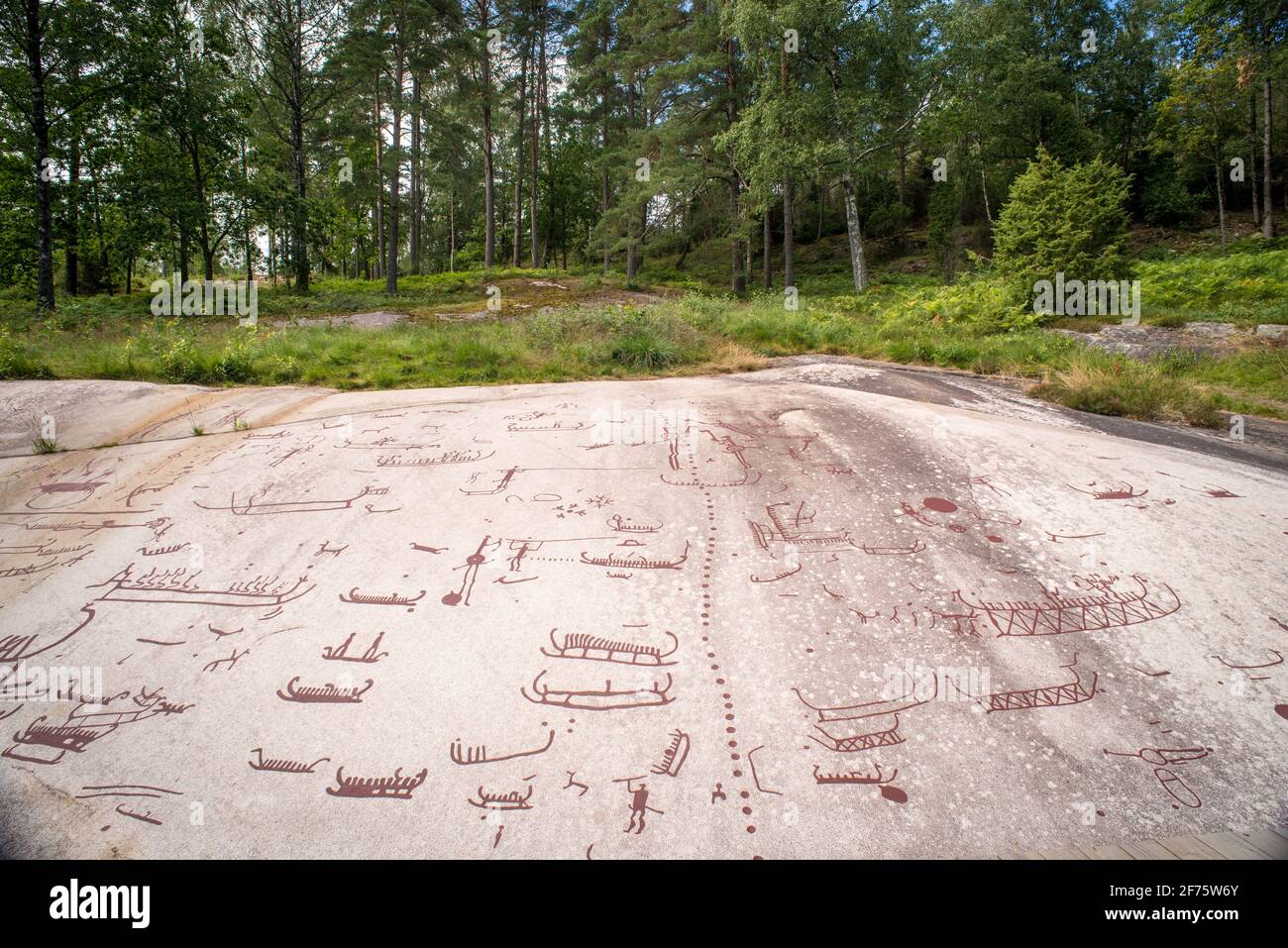 The ancient rock carvings at Tanum are spread out over large stone ...
