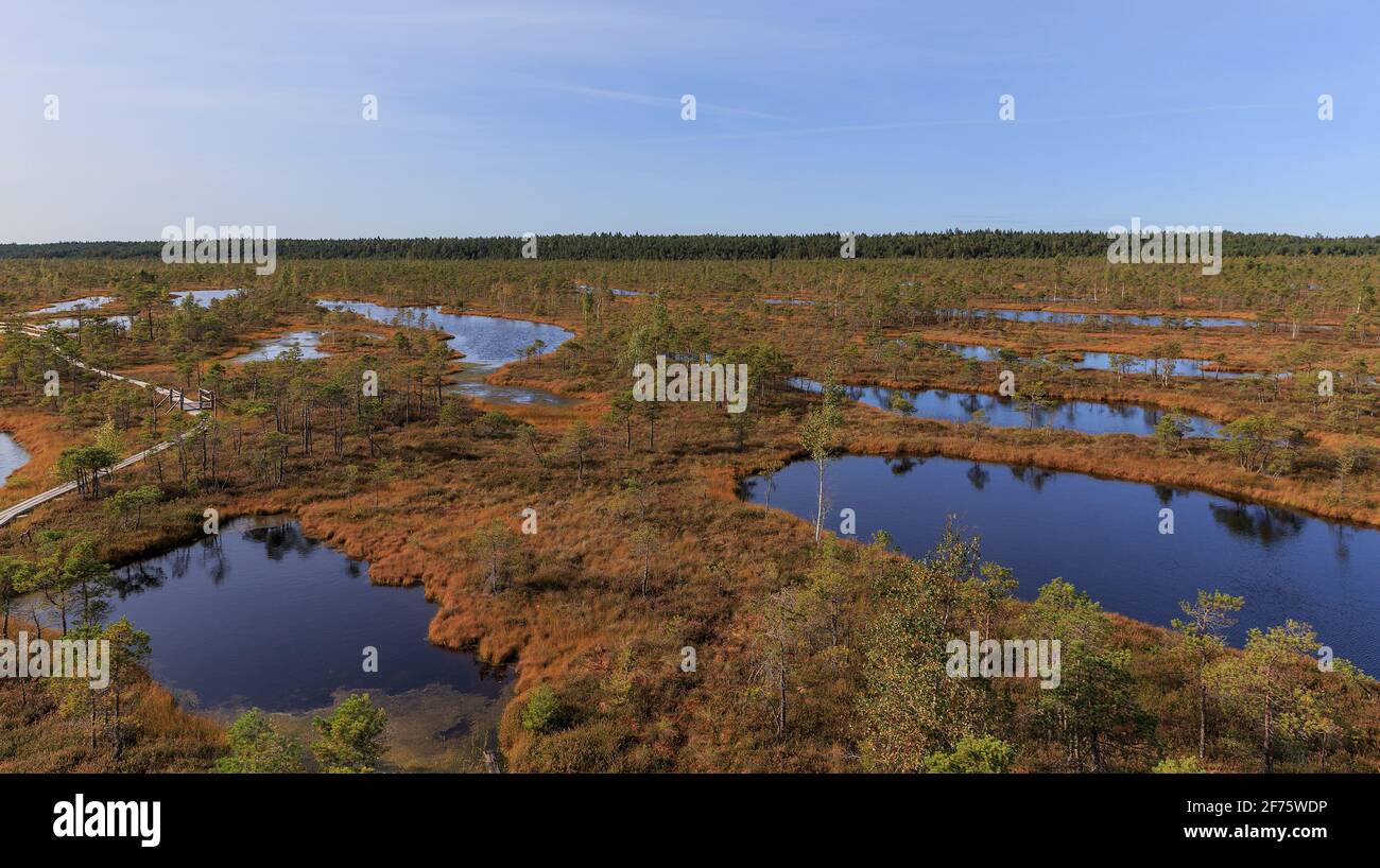 Swamp Bog Wetland Boardwalk High Resolution Stock Photography and ...