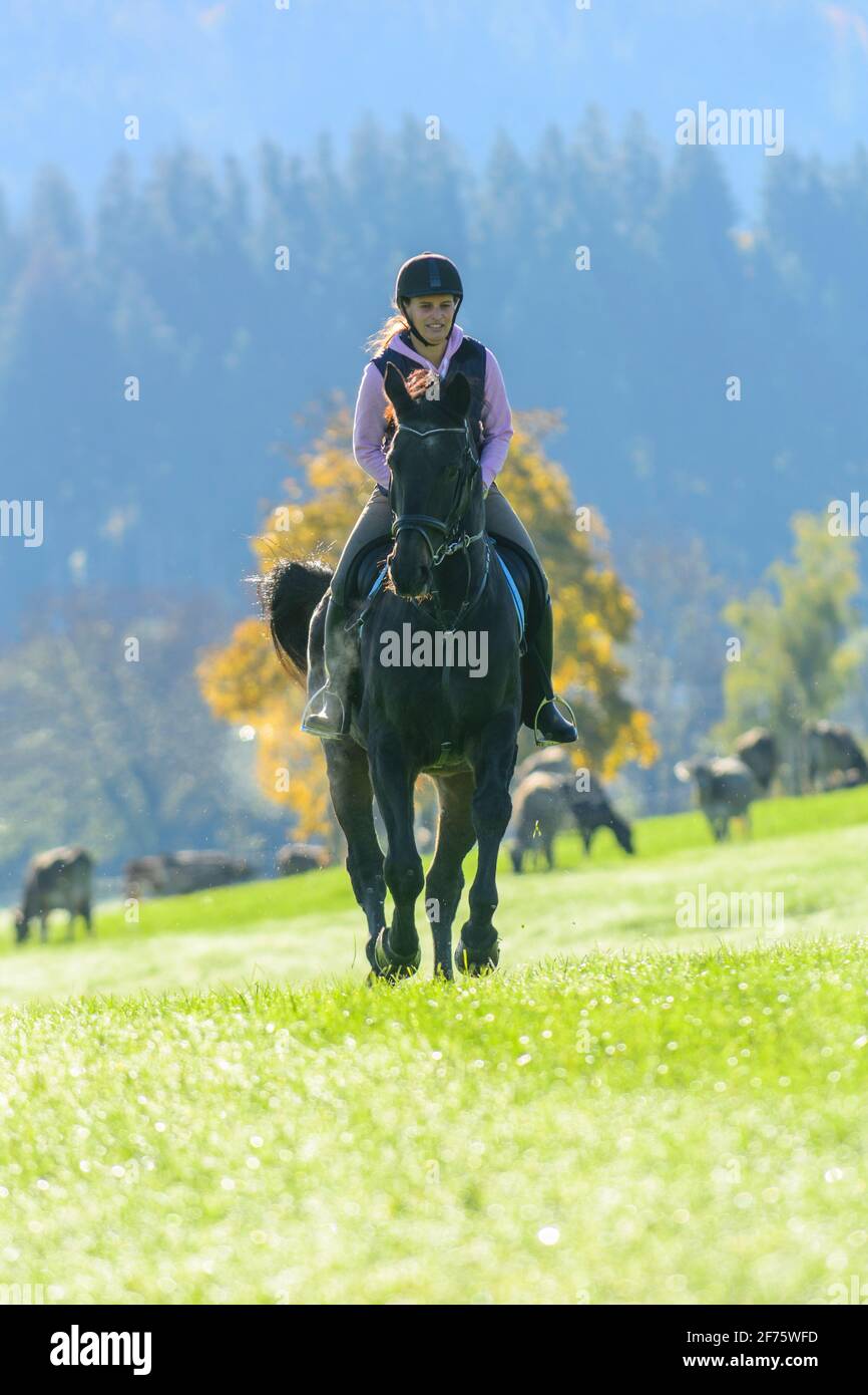 Female rider hi-res stock photography and images - Alamy