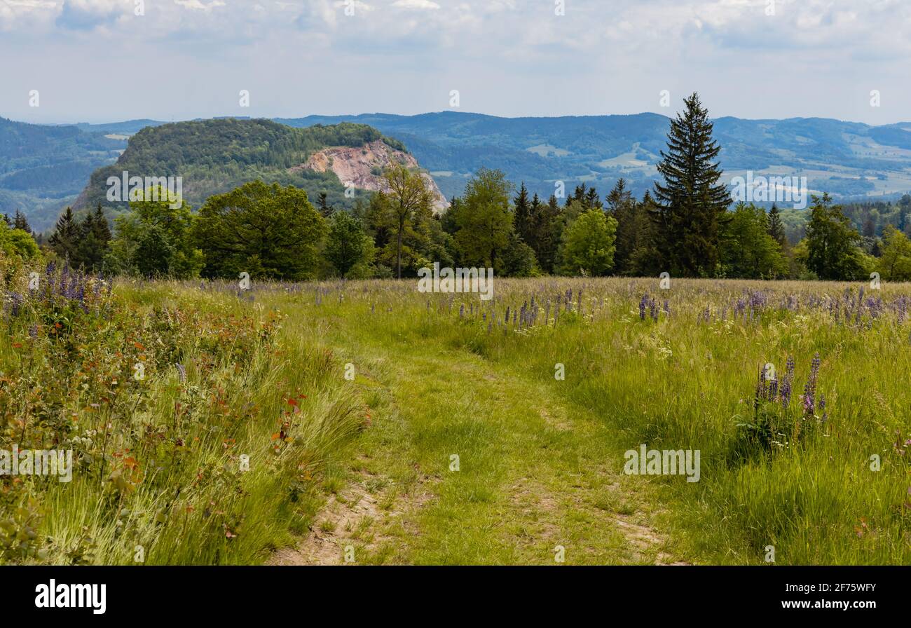Long path with bushes and fields around in Kaczawskie mountains Stock ...