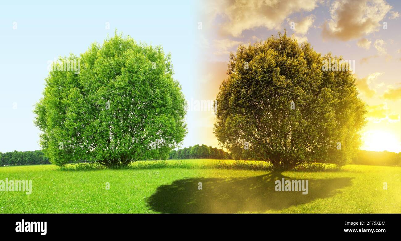 Shadow daylight landscape hi-res stock photography and images - Alamy