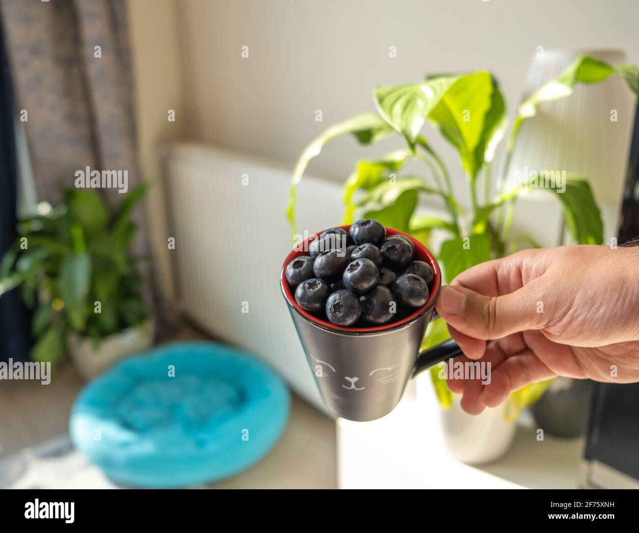 Full to the brim hi-res stock photography and images - Alamy