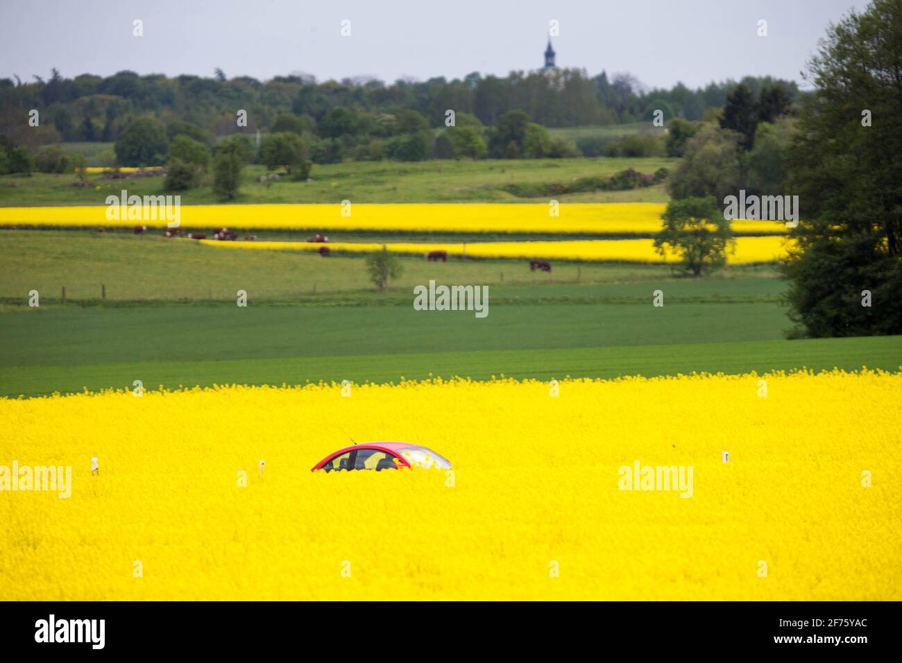 Red vw beetle hi-res stock photography and images - Alamy