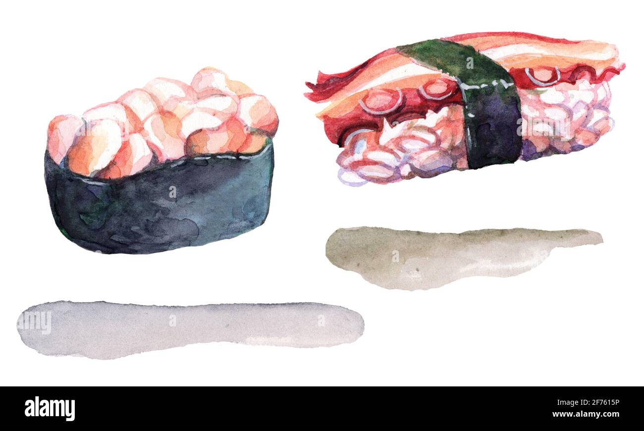 Sushi with octopus and scallop Japanese cuisine, watercolor ...