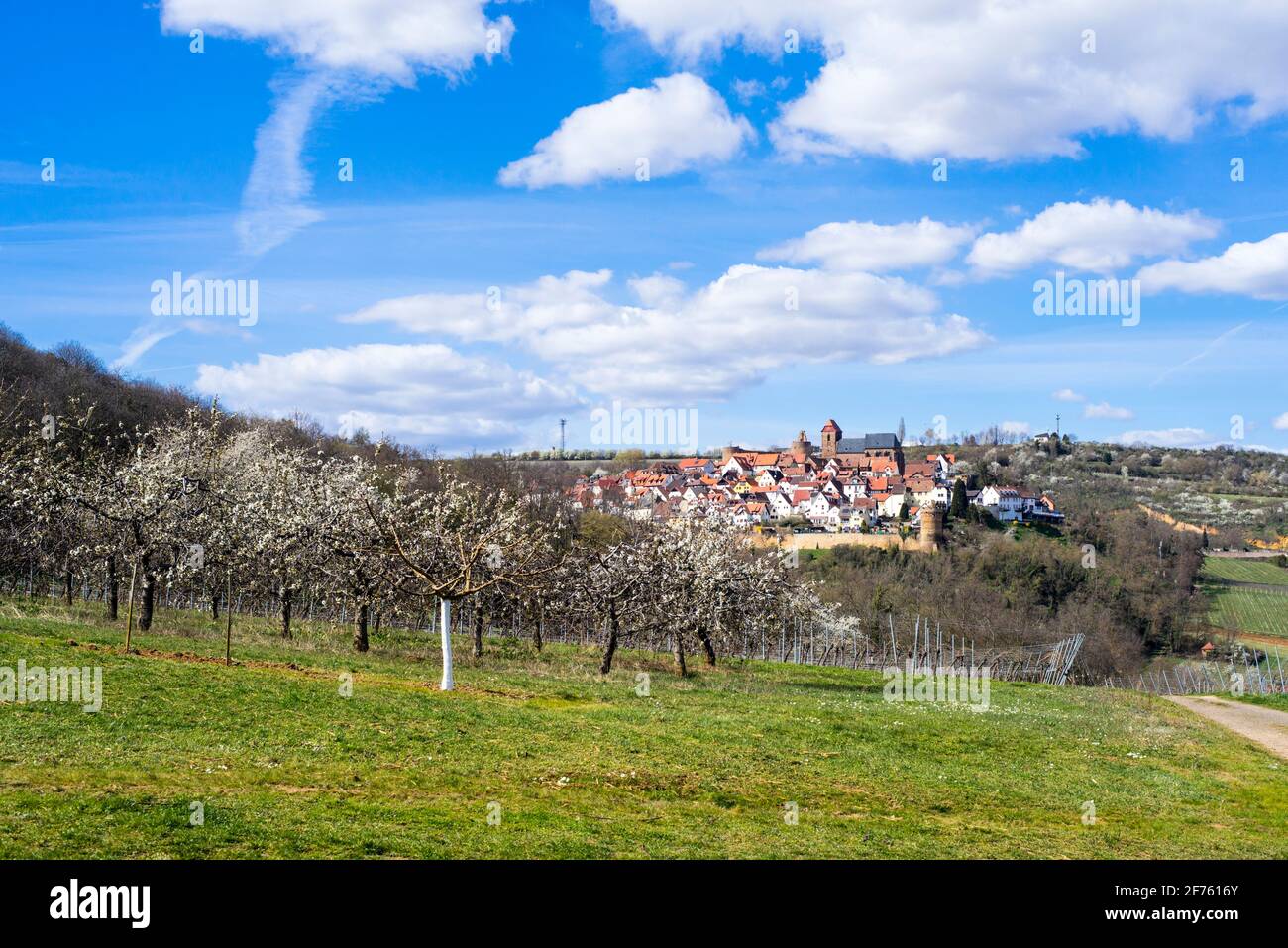 The historic village of Neuleiningen in Palatinate region Germany Stock ...