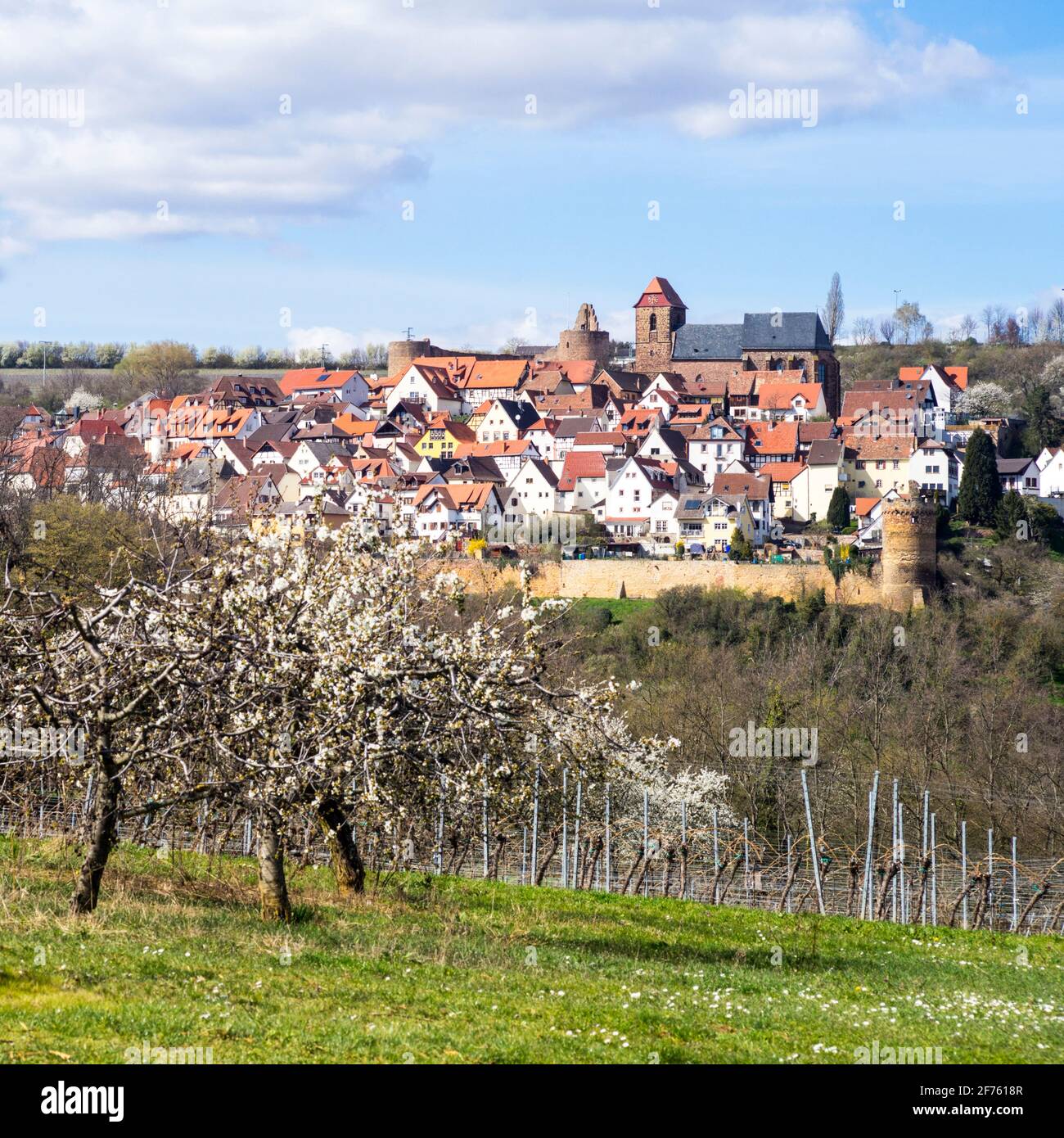 The historic village of Neuleiningen in Palatinate region Germany Stock ...