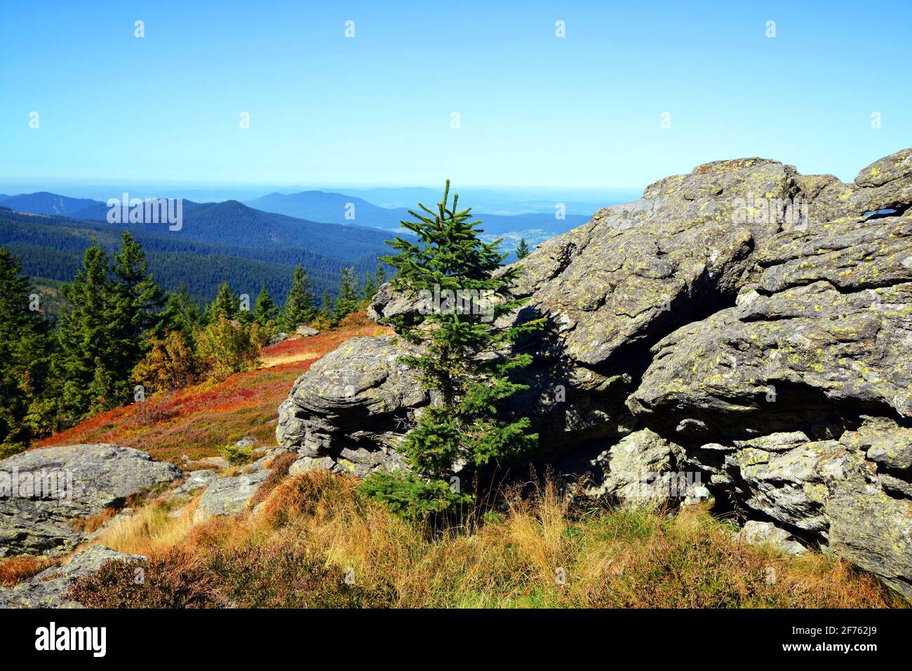 Landscape in the National park Bayerischer wald, view from the mountain ...