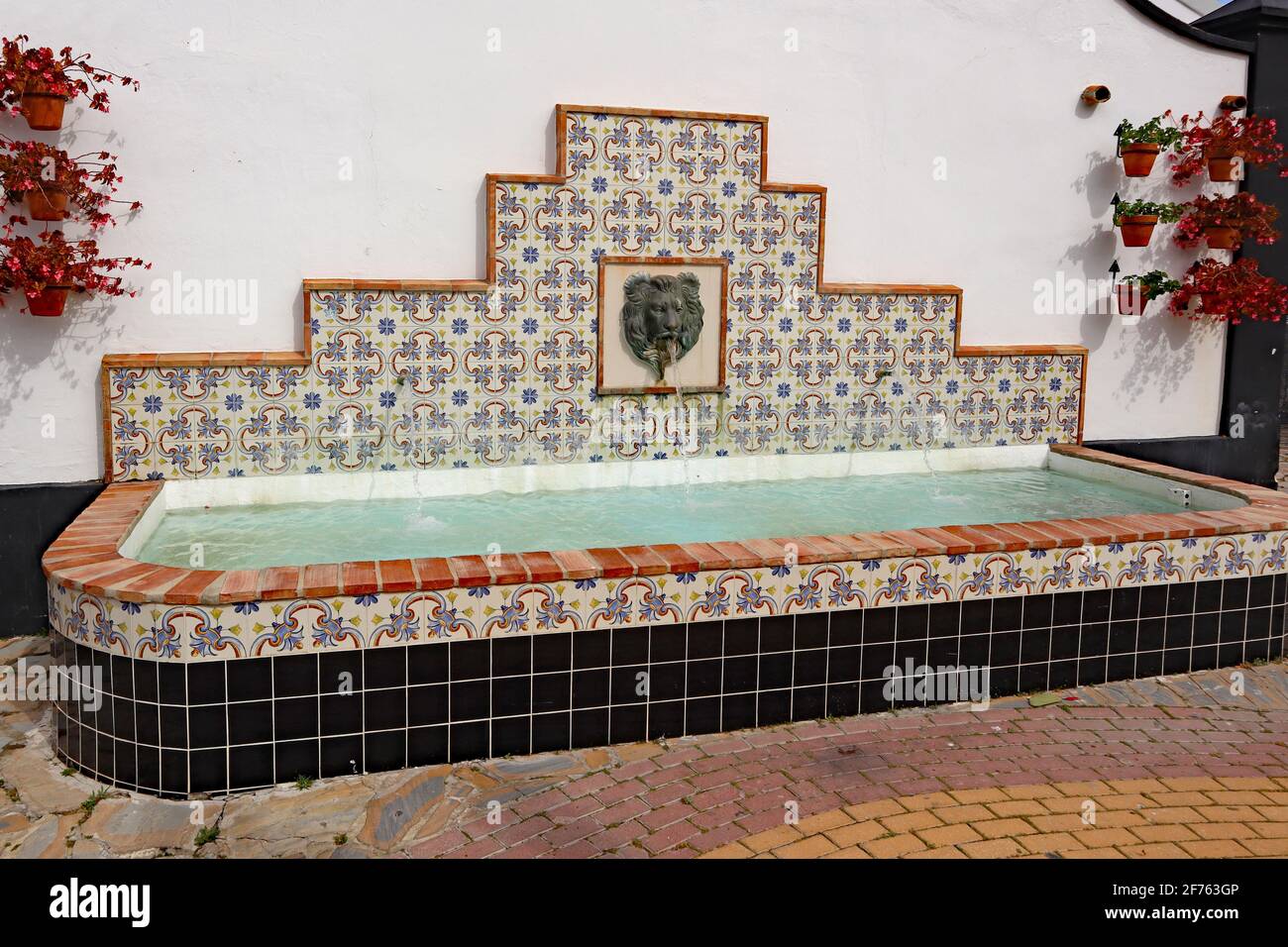 A water feature with a lion's head on a ceramic tile background in a ...