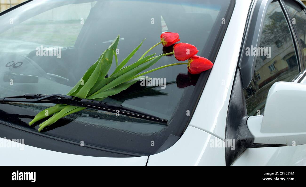 Windshield car flowers hi-res stock photography and images - Alamy