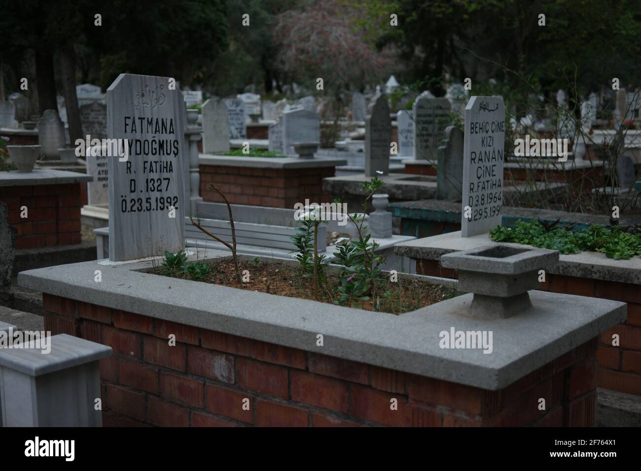 Graves and headstones at Muslim cemetery Stock Photo - Alamy