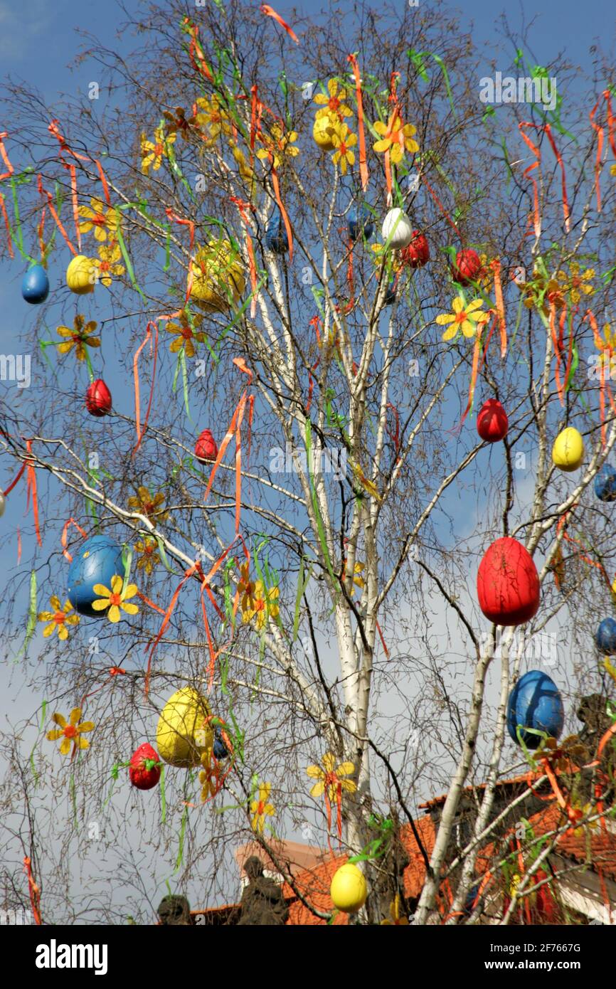Czech easter eggs hanging hi-res stock photography and images - Alamy