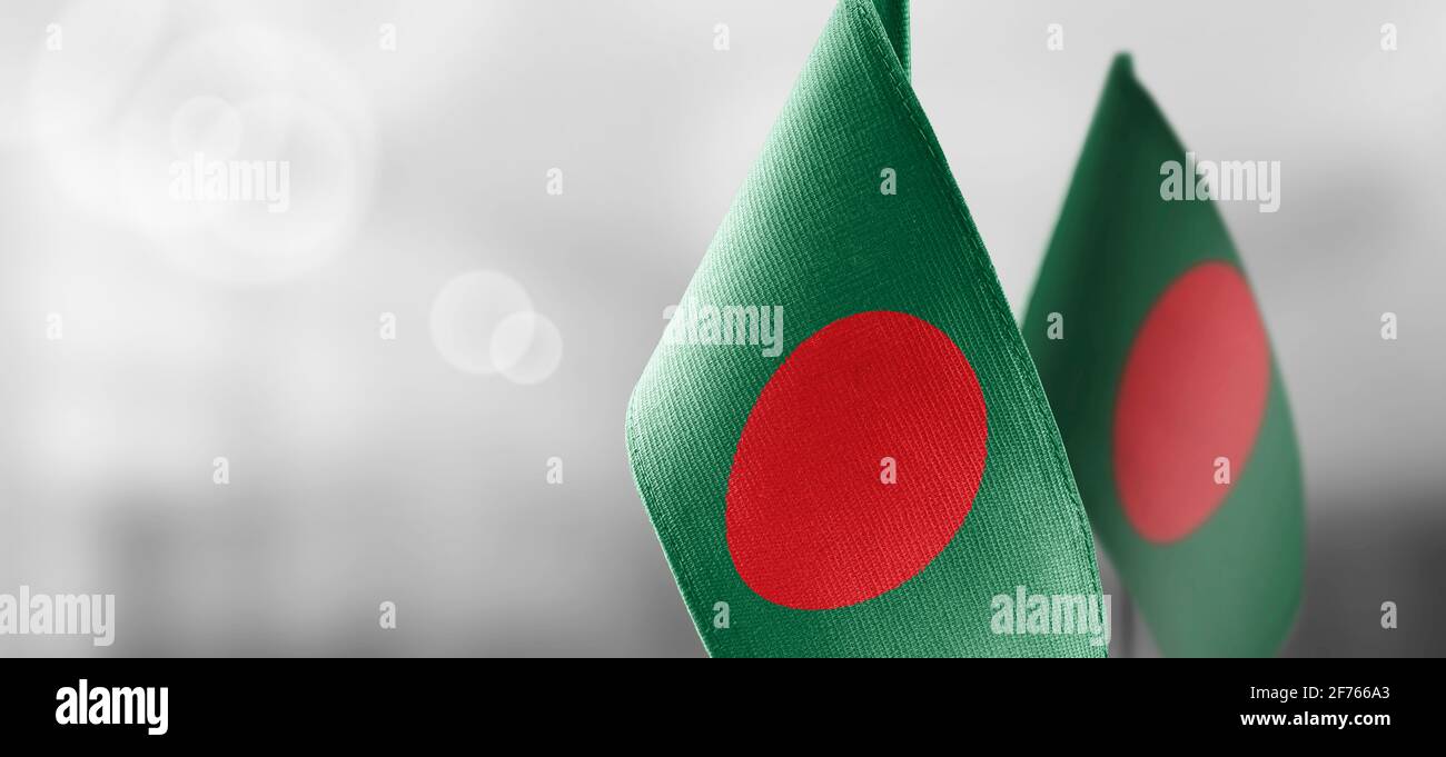 Small national flags of the Bangladesh on a light blurry background ...