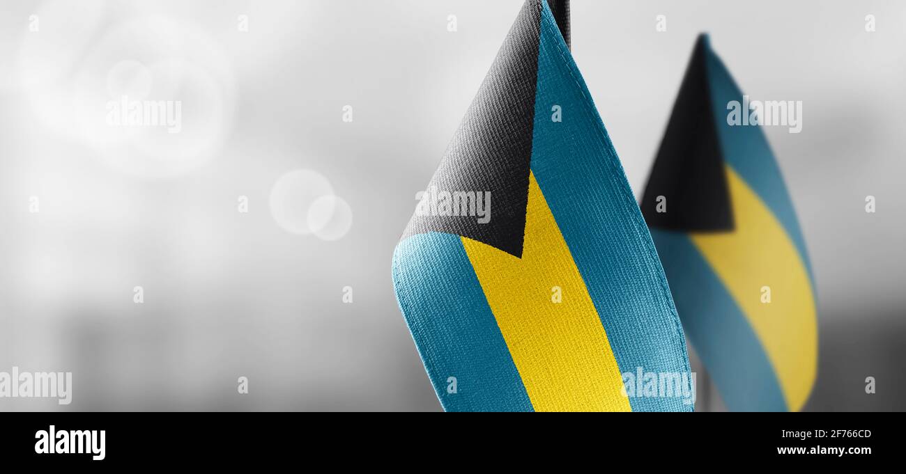 Small national flags of the Bahamas on a light blurry background Stock ...