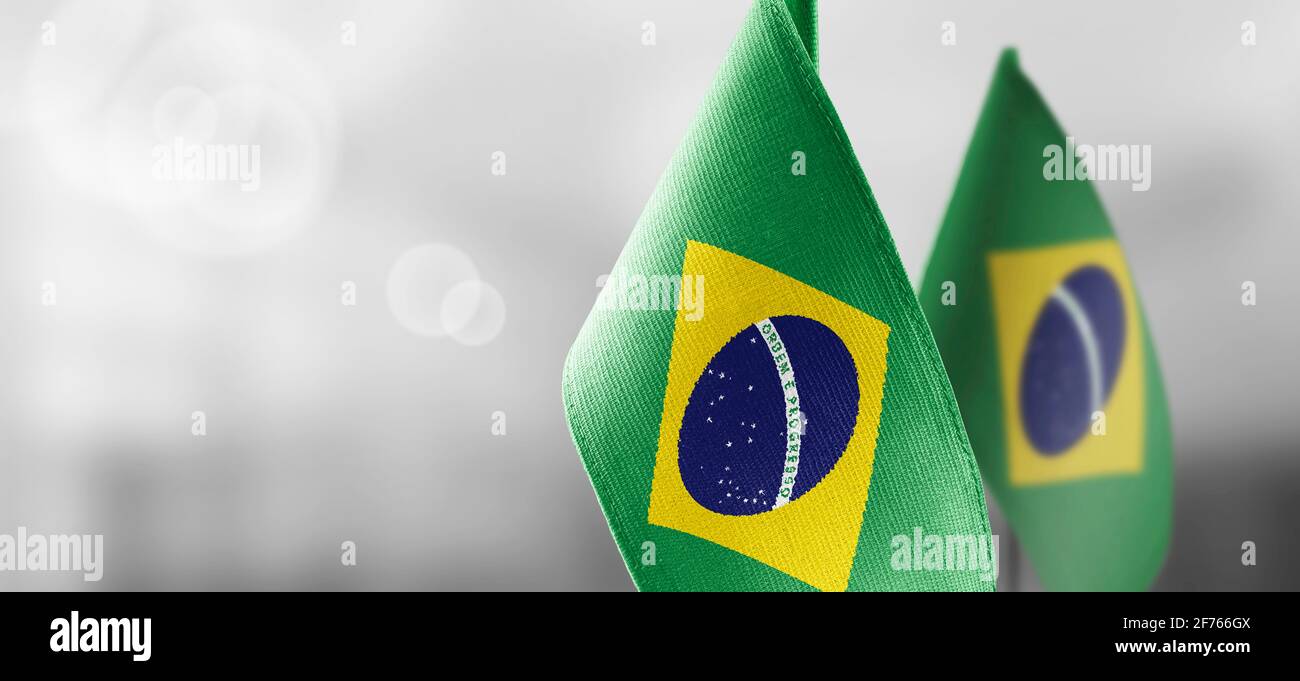 Small national flags of the Brazil a light blurry background Stock ...
