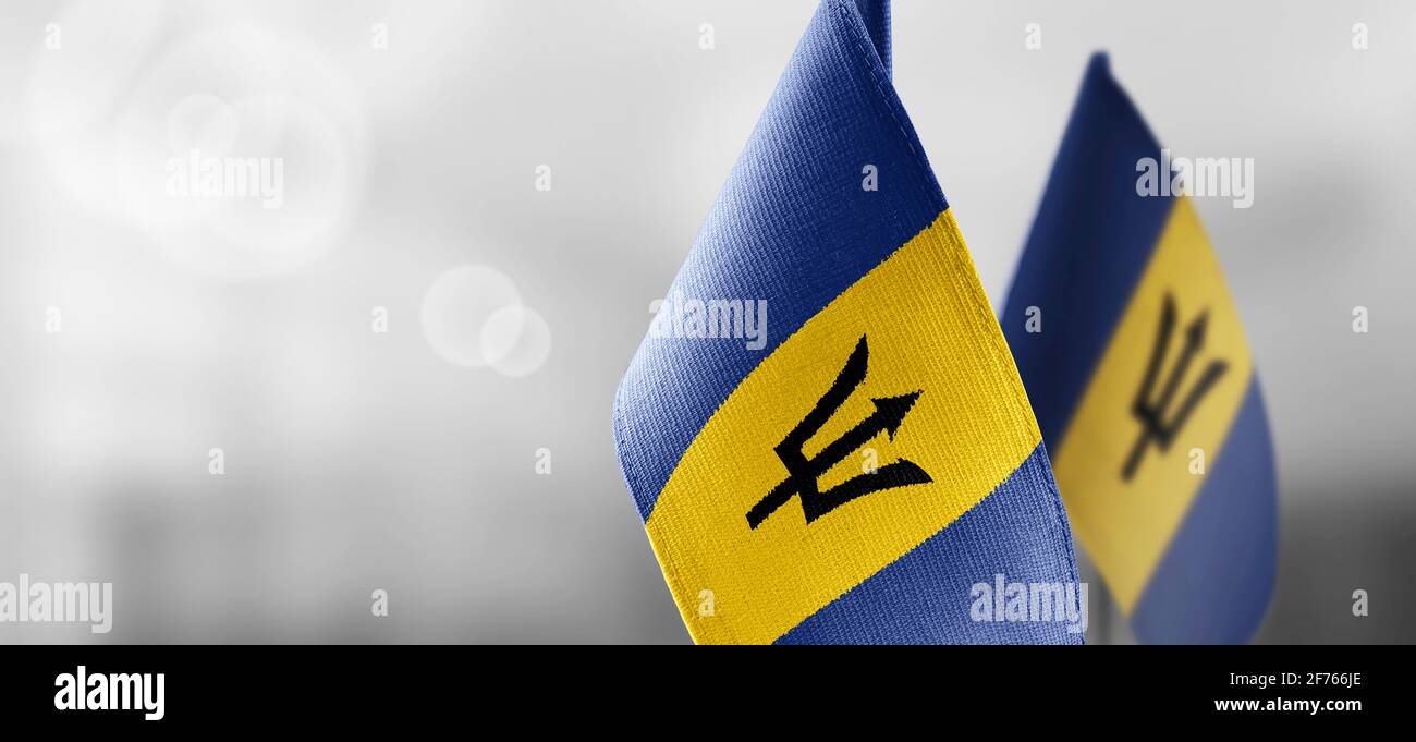 Small national flags of the Barbados on a light blurry background Stock ...