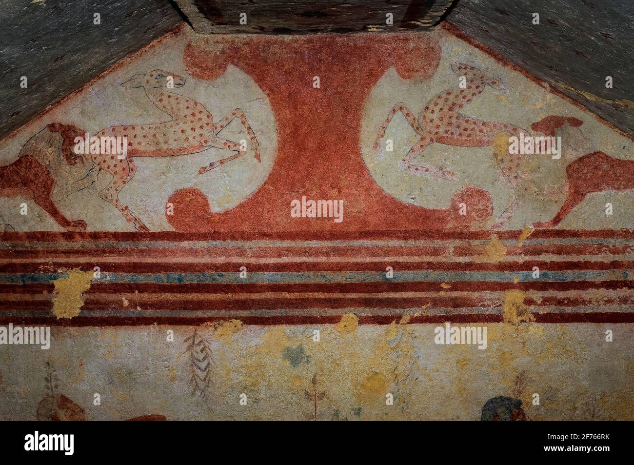 Tarquinia etruscan lion hi-res stock photography and images - Alamy