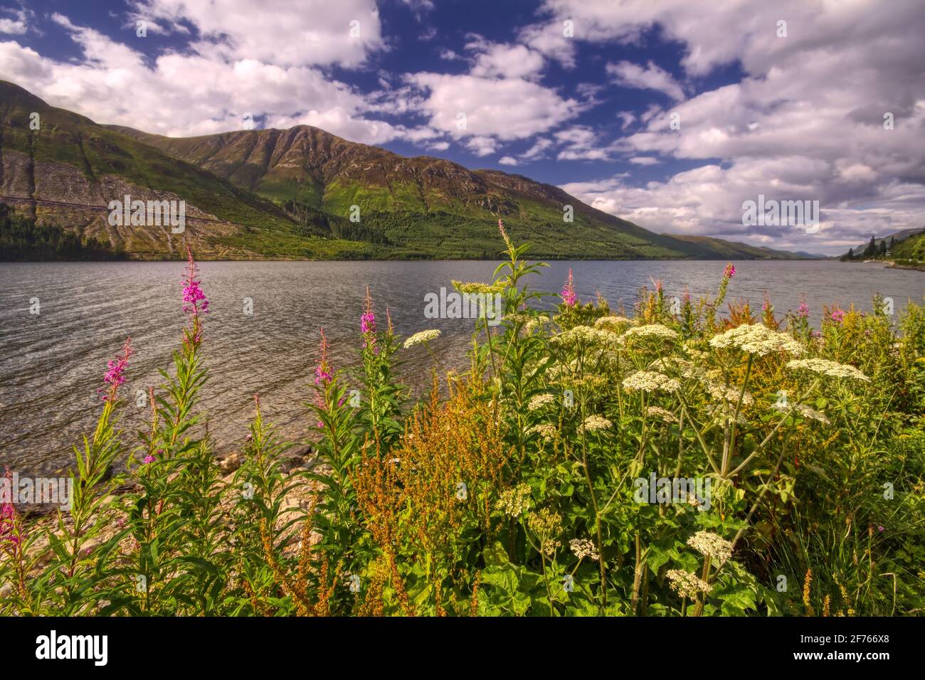 Feel good factor hi-res stock photography and images - Alamy