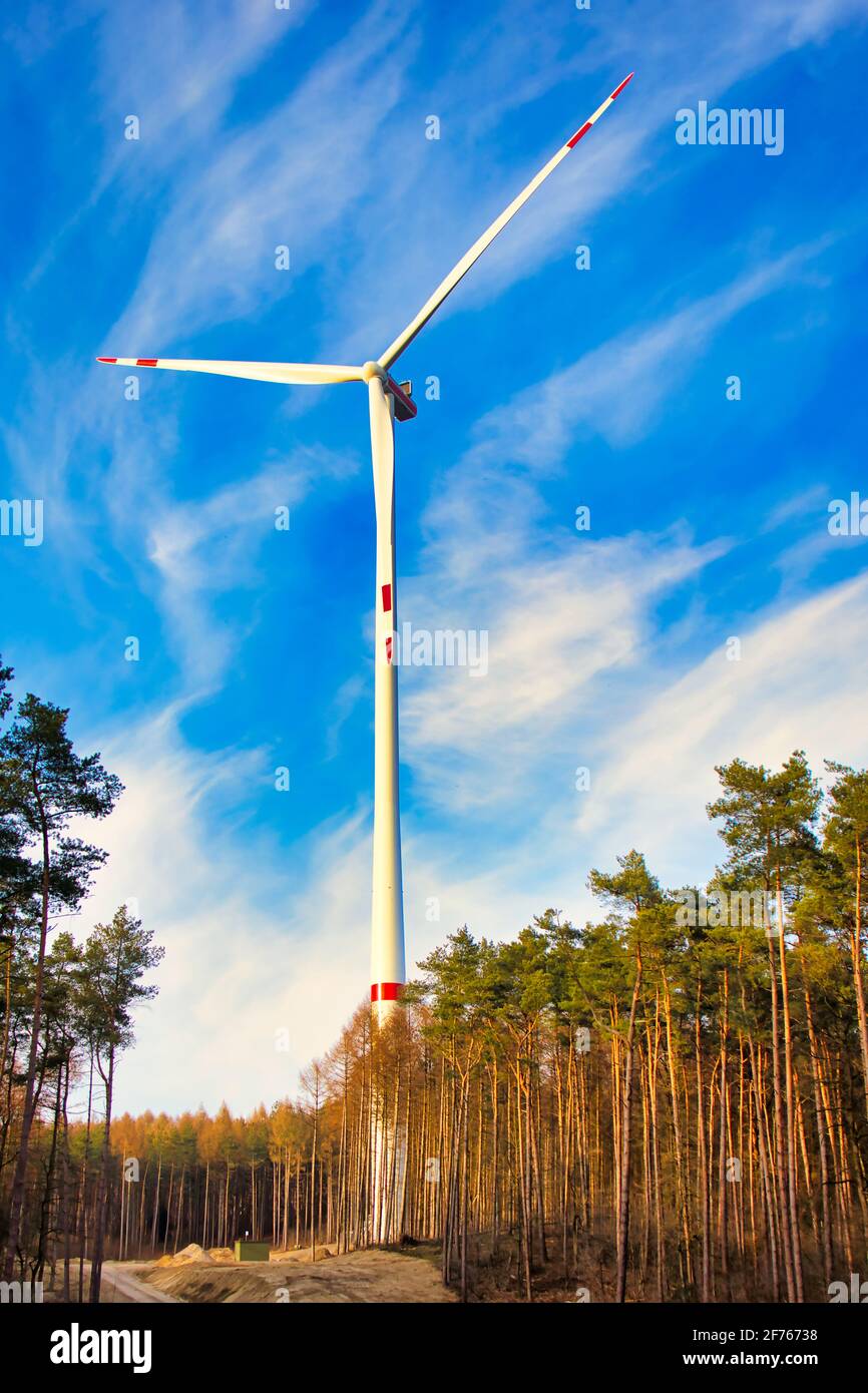wind turbine in the forest Stock Photo - Alamy