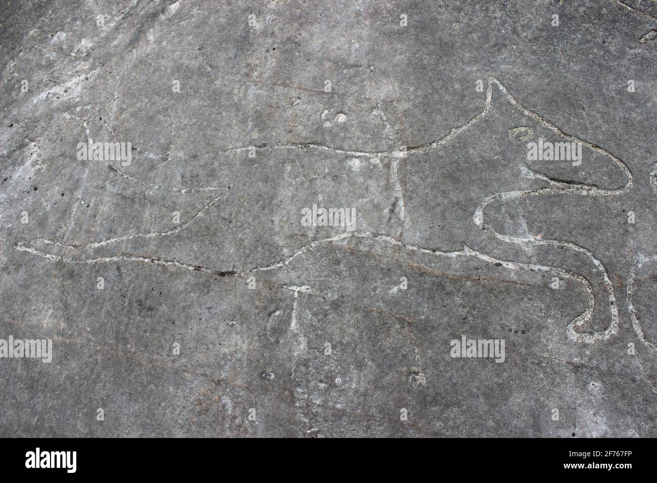 Wolf Carving - One Of The Rock Carvings on Bidston Hill, Wirral, UK ...