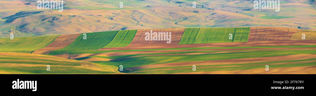 Agricultural farm fields wide panorama hi-res stock photography and ...